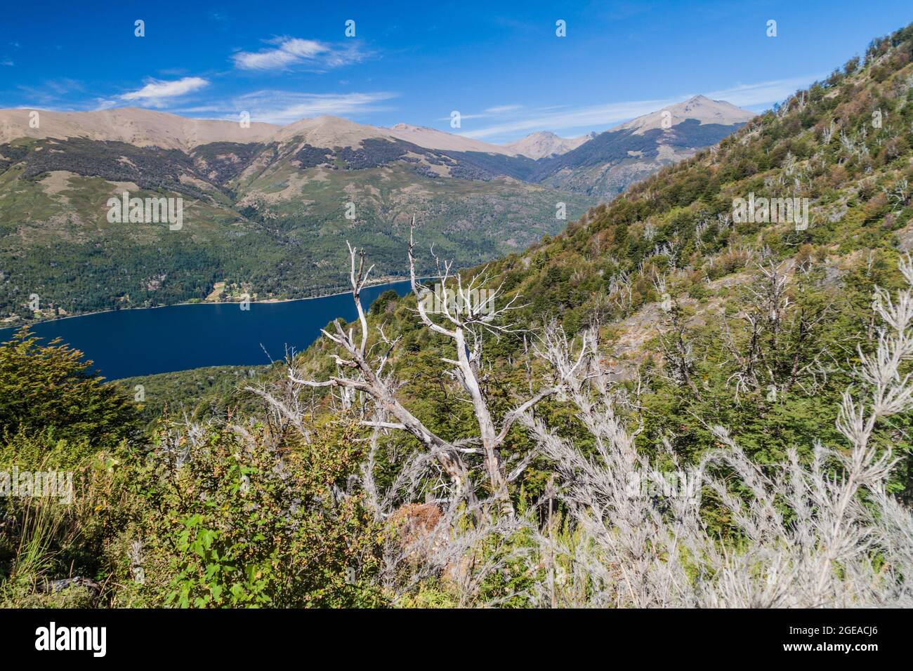 Gutierrez lake near Bariloche, Argentina Stock Photo - Alamy