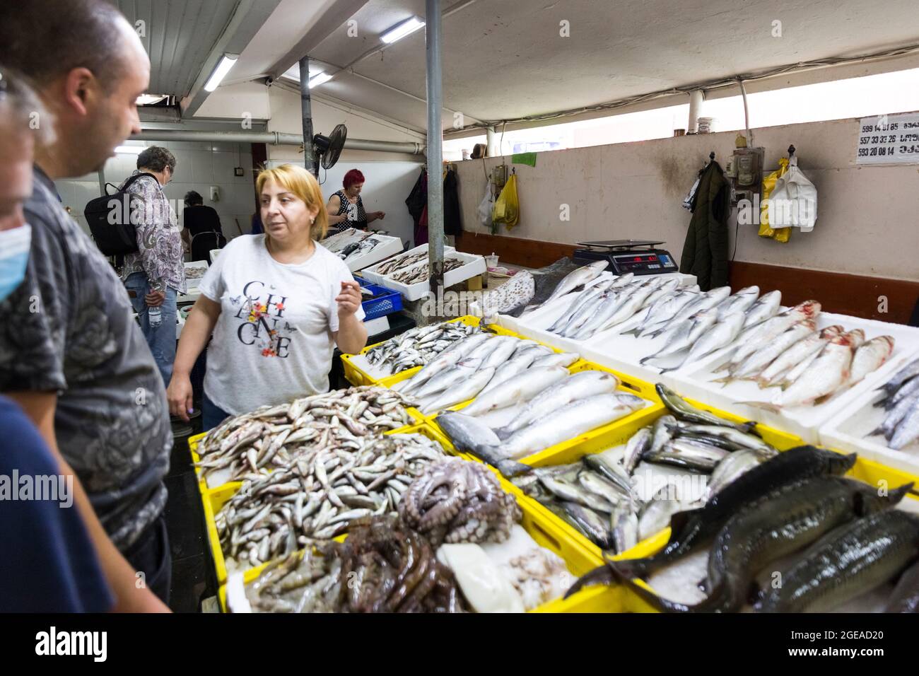Fresh seafood market in Batumi Georgia. Live fish in ice. Flounder, red ...