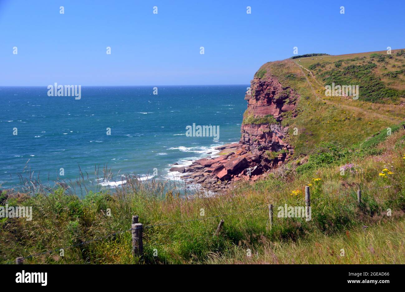 The Red Sandstone Cliffs at St Bees Head on the Clifftop Coastal Path ...