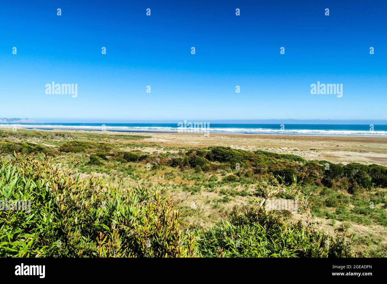 Beach on Pacific Ocean, National Park Chiloe, Chile Stock Photo - Alamy
