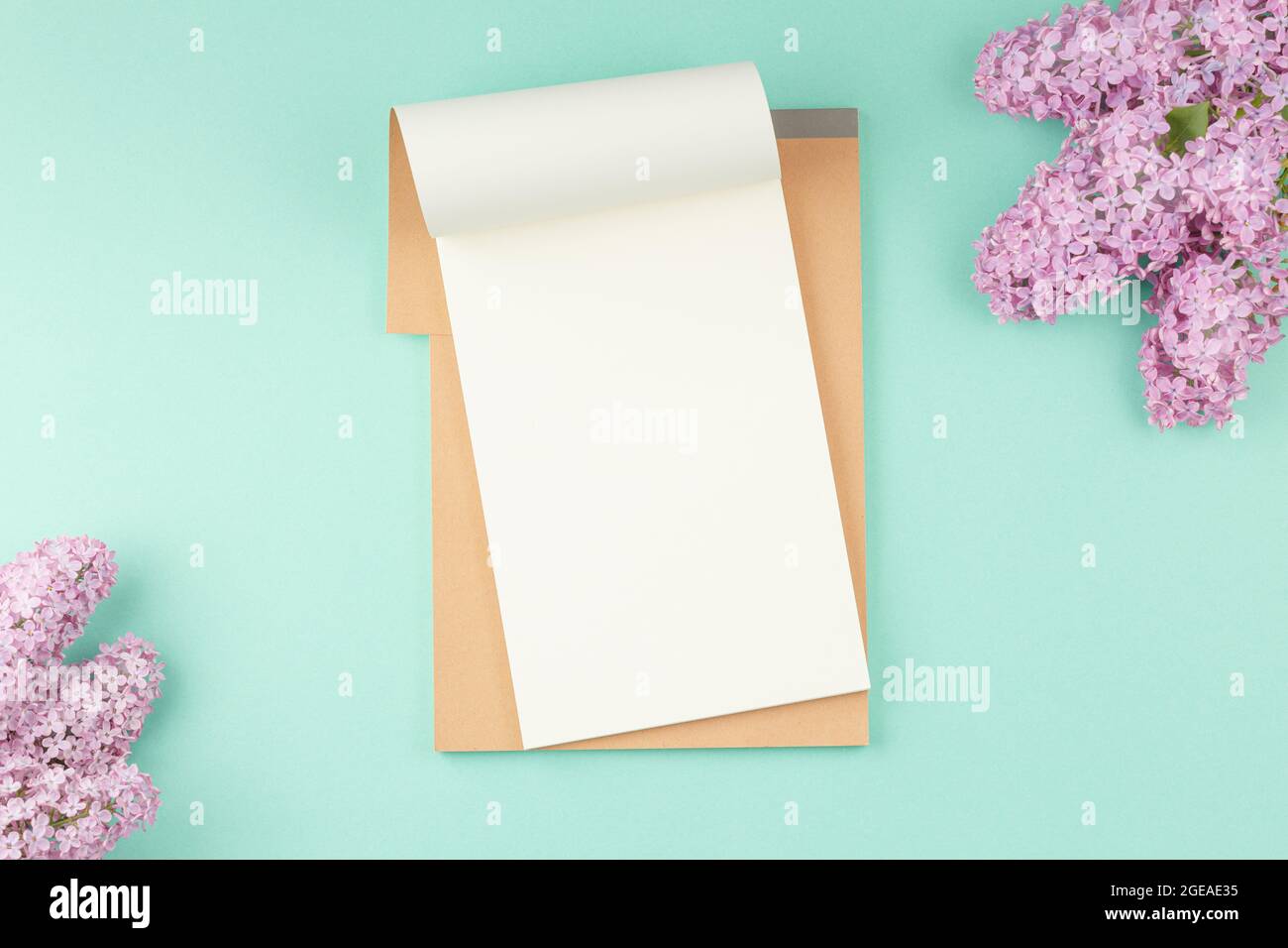 Craft sketchbook with lilac on cyan background Stock Photo - Alamy