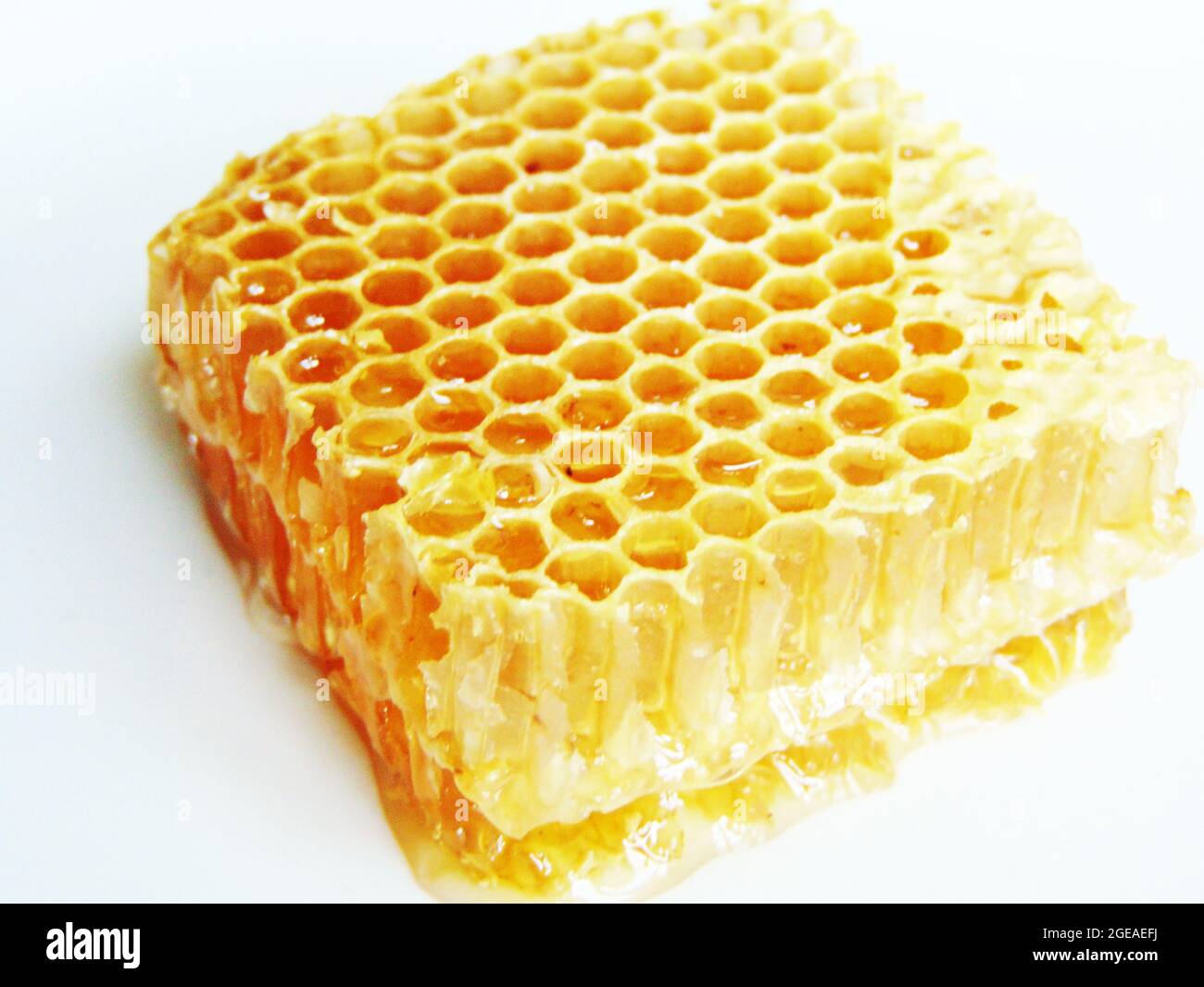 honeycomb isolated on white background Stock Photo - Alamy