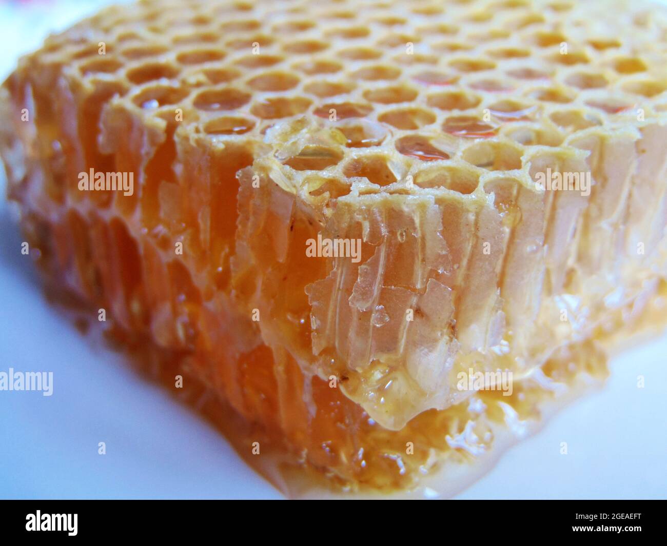 honeycomb isolated on white background Stock Photo - Alamy
