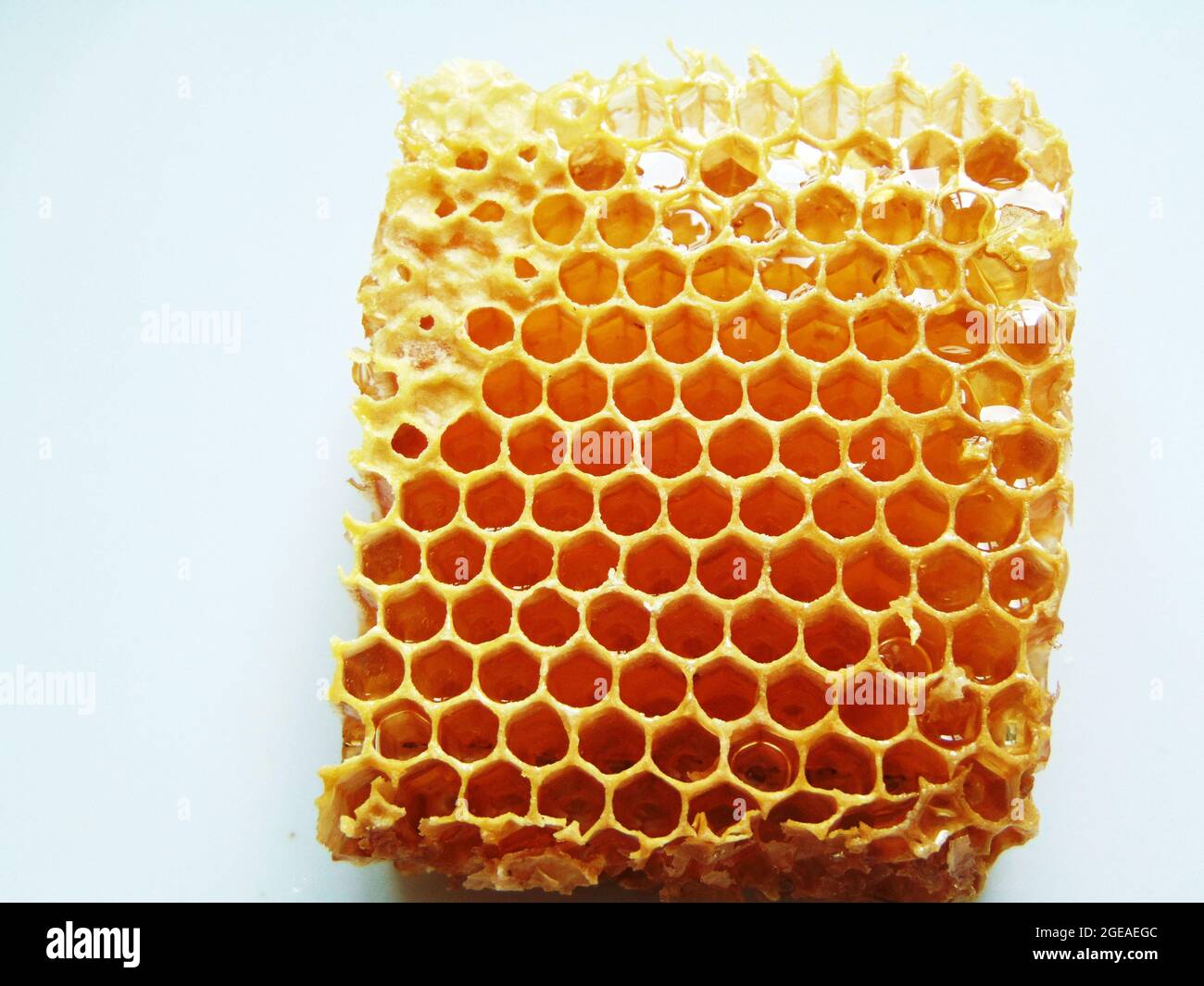 honeycomb isolated on white background Stock Photo - Alamy