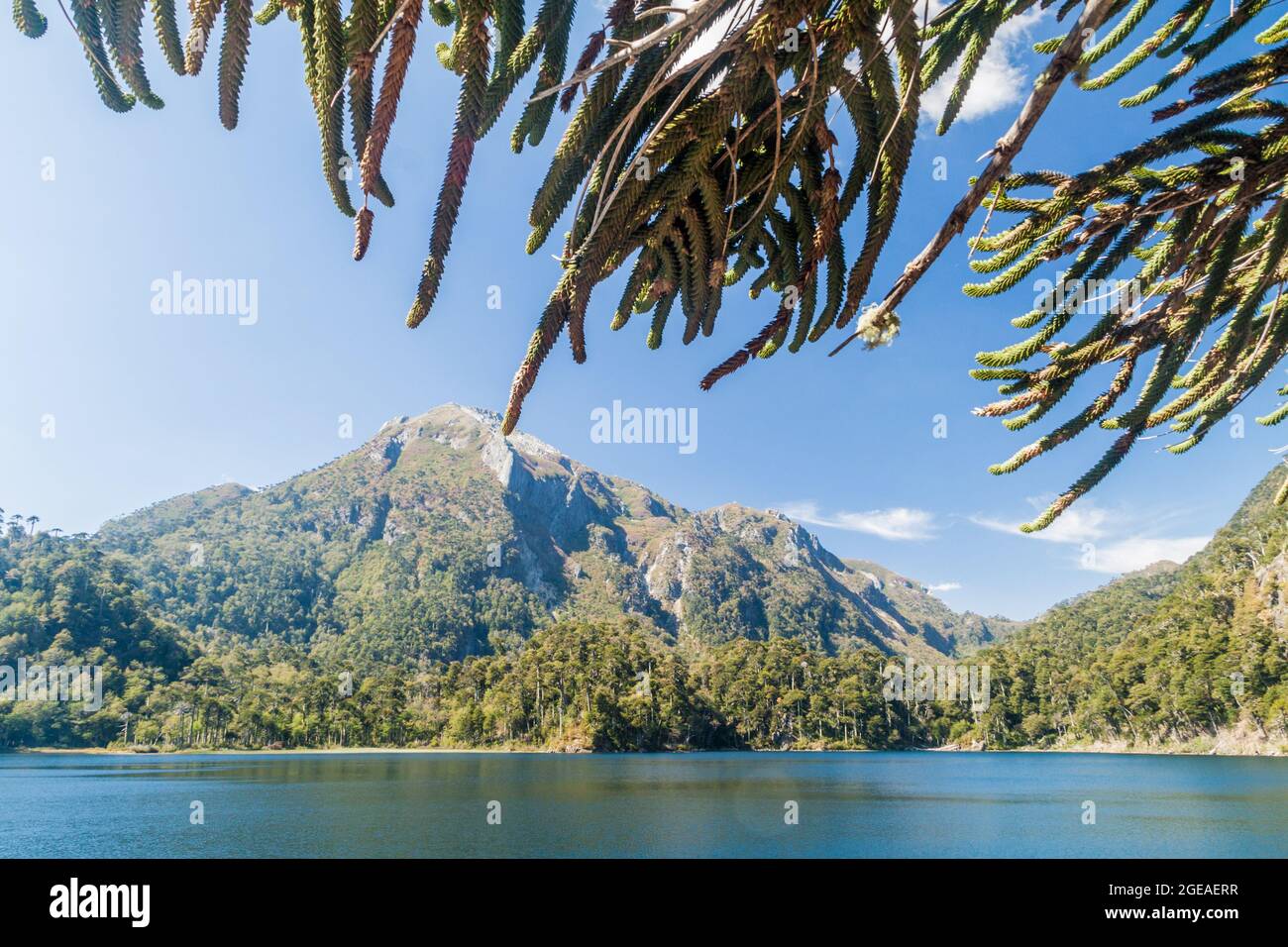 Laguna Toro lake in National Park Huerquehue, Chile Stock Photo - Alamy