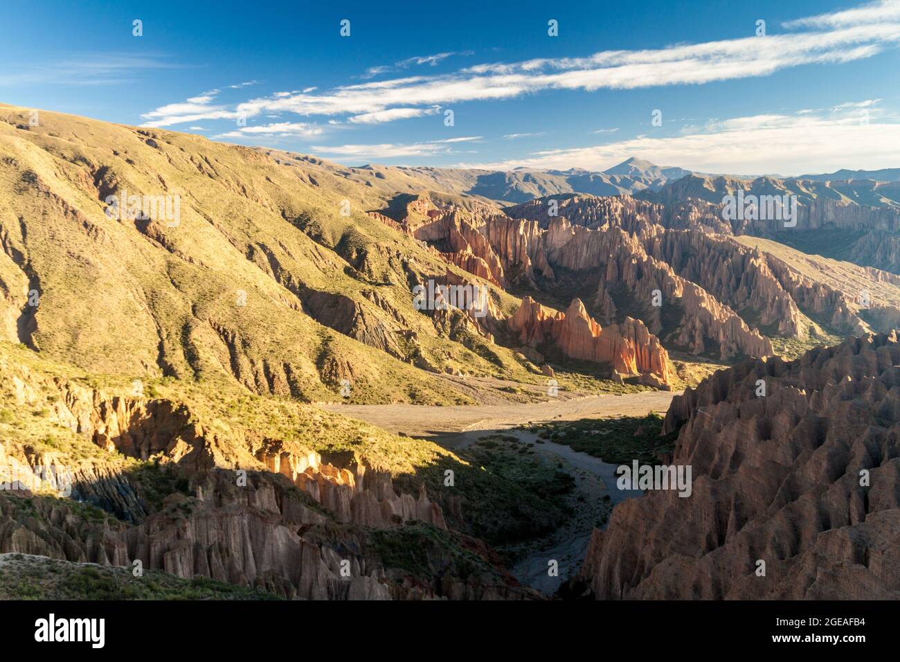 Beautiful Quebrada de Palapa valley on bolivian Altiplano near Tupiza ...