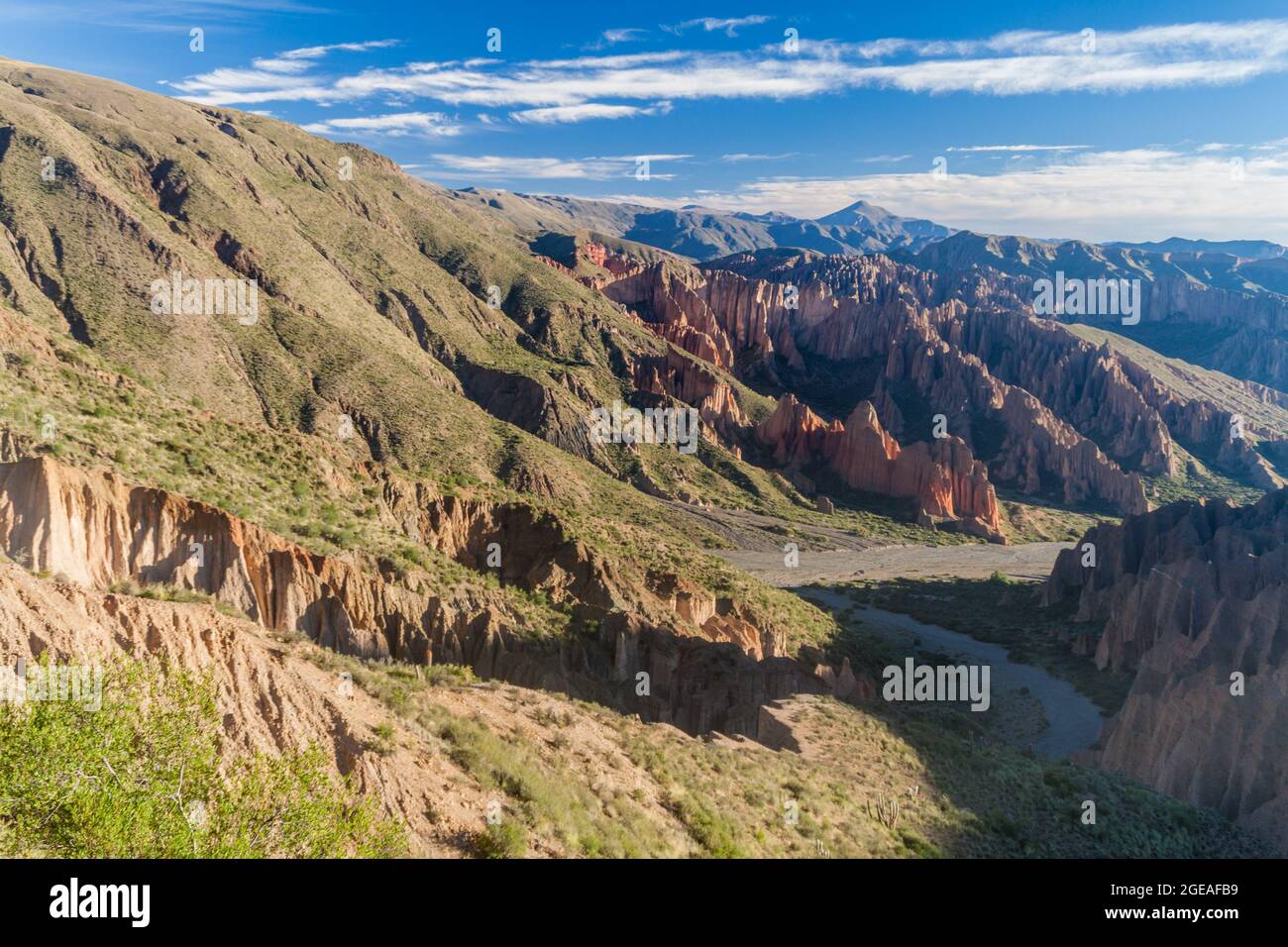 Beautiful Quebrada de Palapa valley on bolivian Altiplano near Tupiza ...