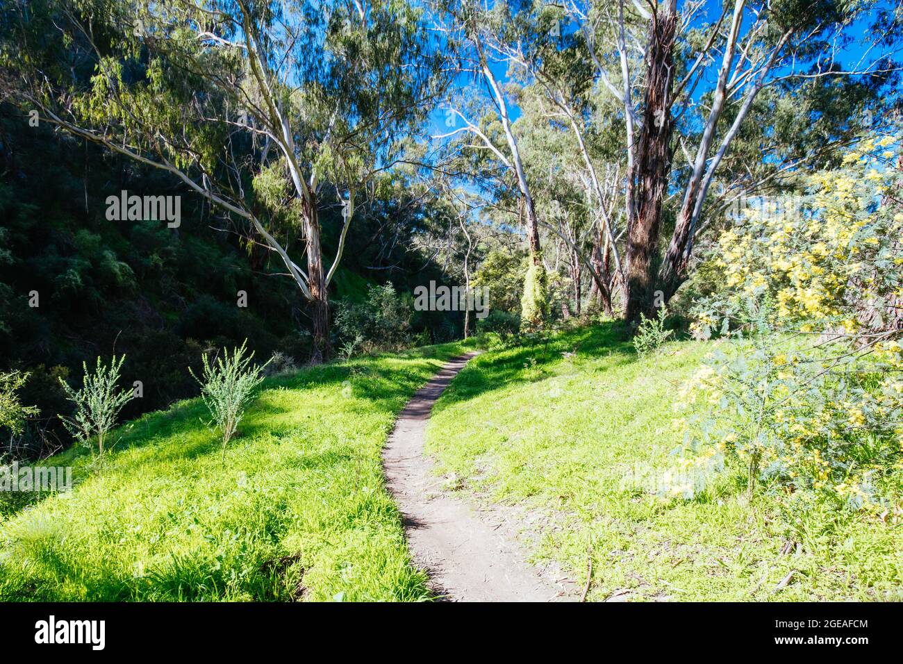 Plenty Gorge Parklands in Australia Stock Photo - Alamy
