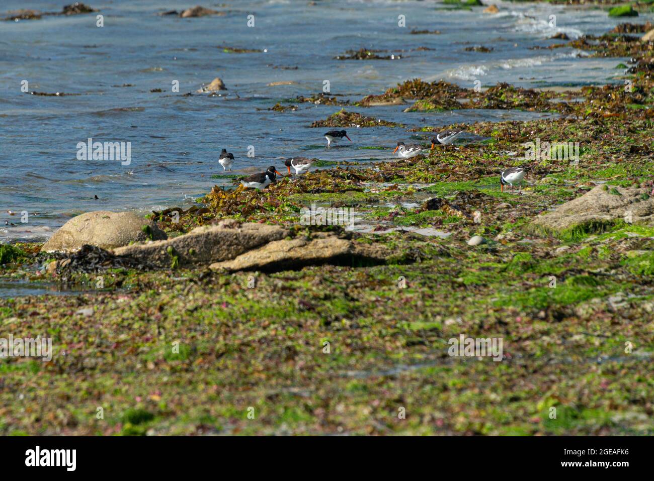 Porthloo beach hi-res stock photography and images - Alamy
