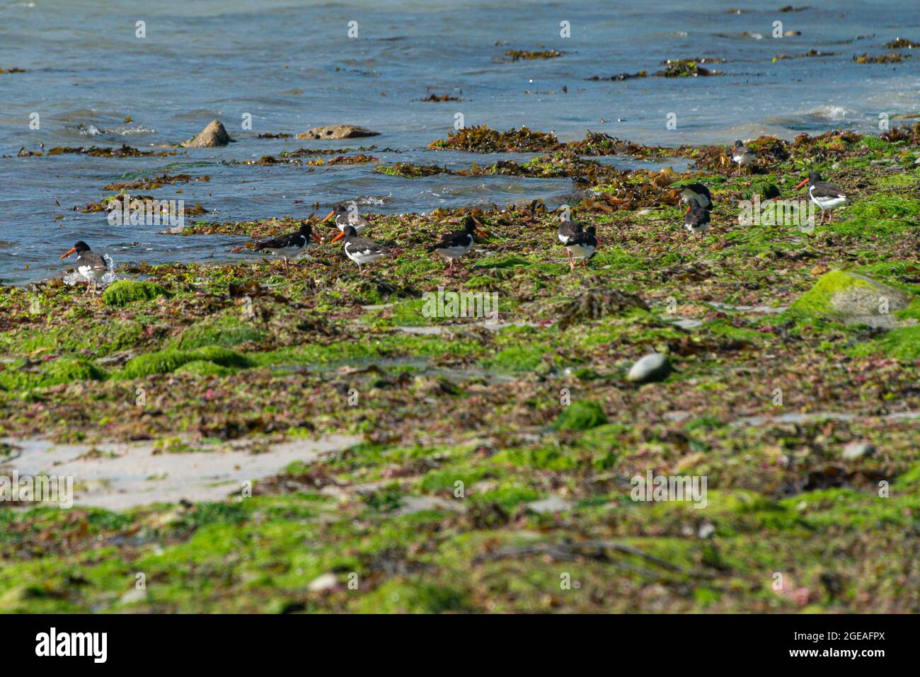Porthloo beach hi-res stock photography and images - Alamy