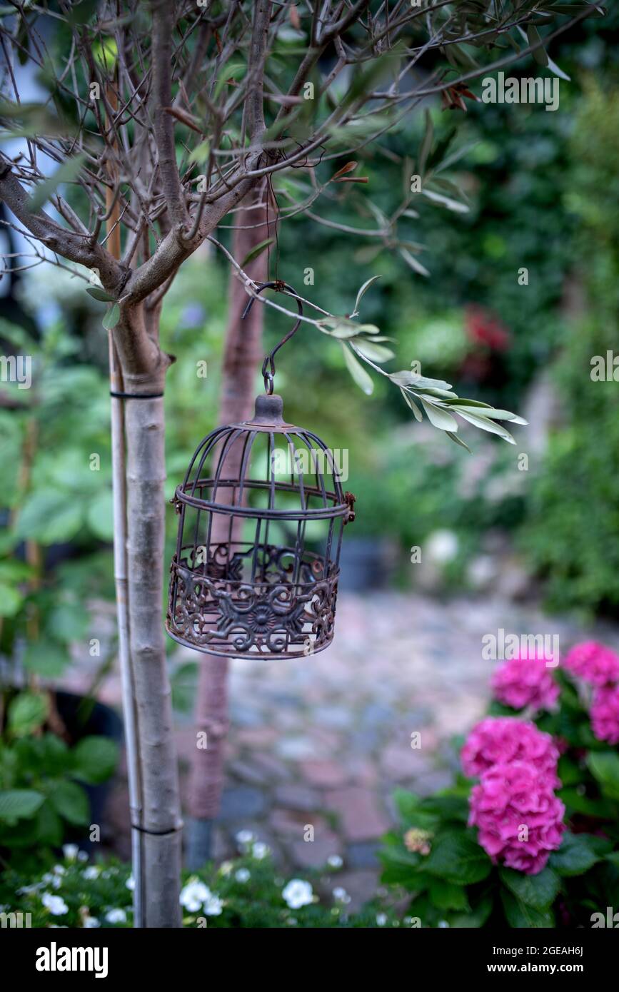 Tree cage hi-res stock photography and images - Alamy