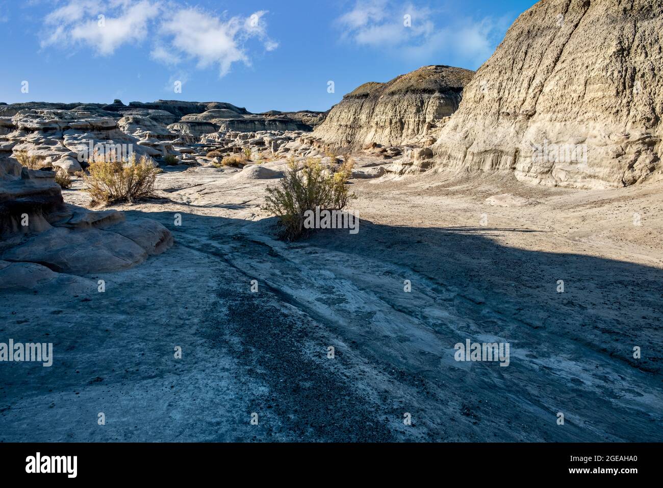 Morning light highlights the textures and details of the rock ...