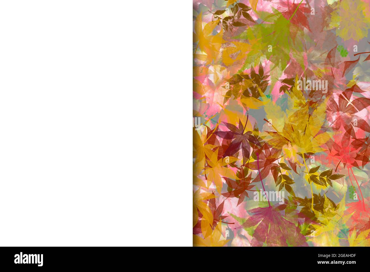 Autumn leaf design Stock Photo - Alamy