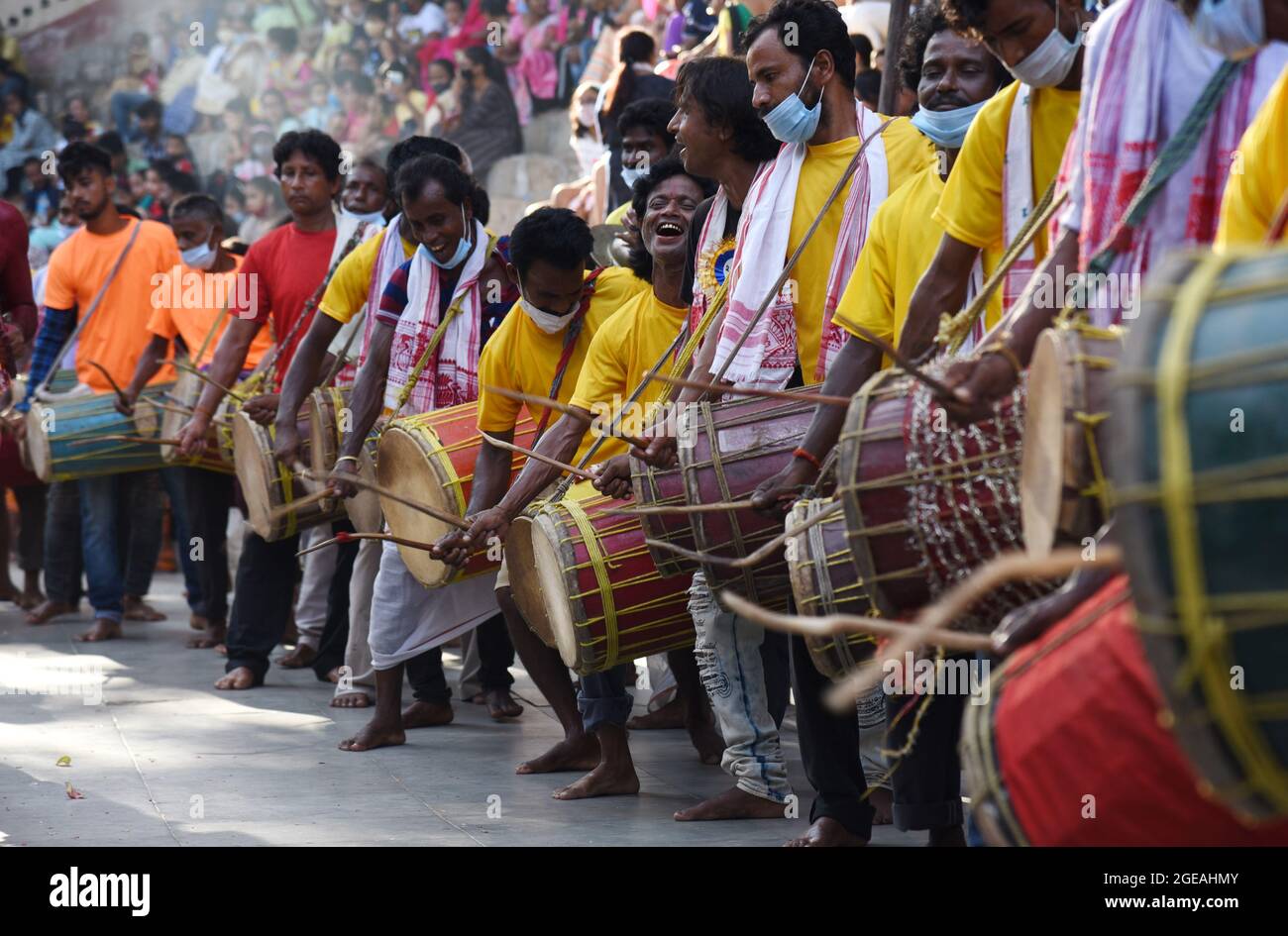Snakes of assam hi-res stock photography and images - Alamy