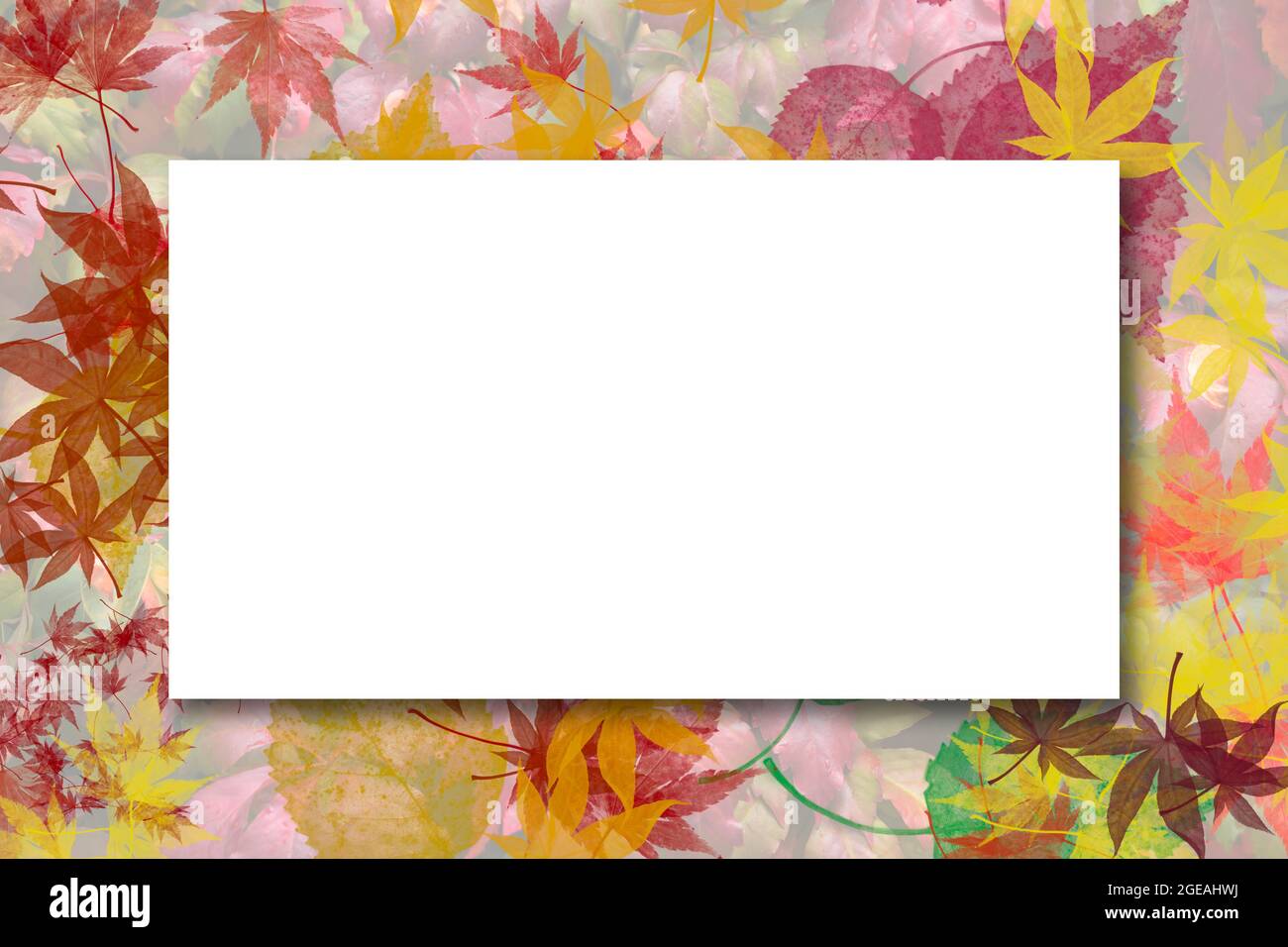 Autumn leaf design Stock Photo - Alamy