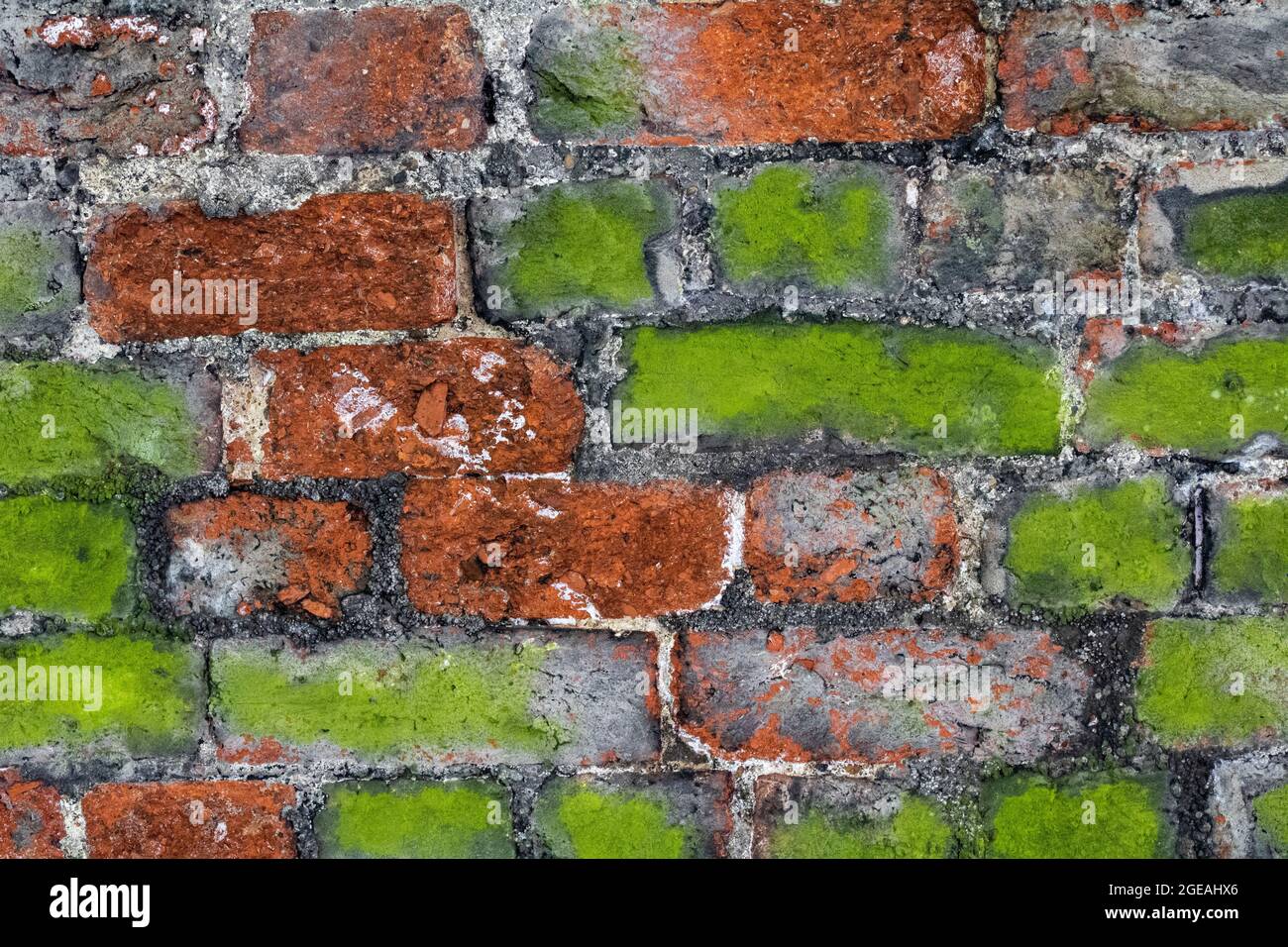 Colourful Section of Brickwork in an Old Railway Bridge on the Tarka ...