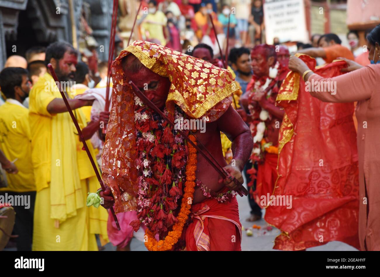 Snakes of assam hi-res stock photography and images - Alamy