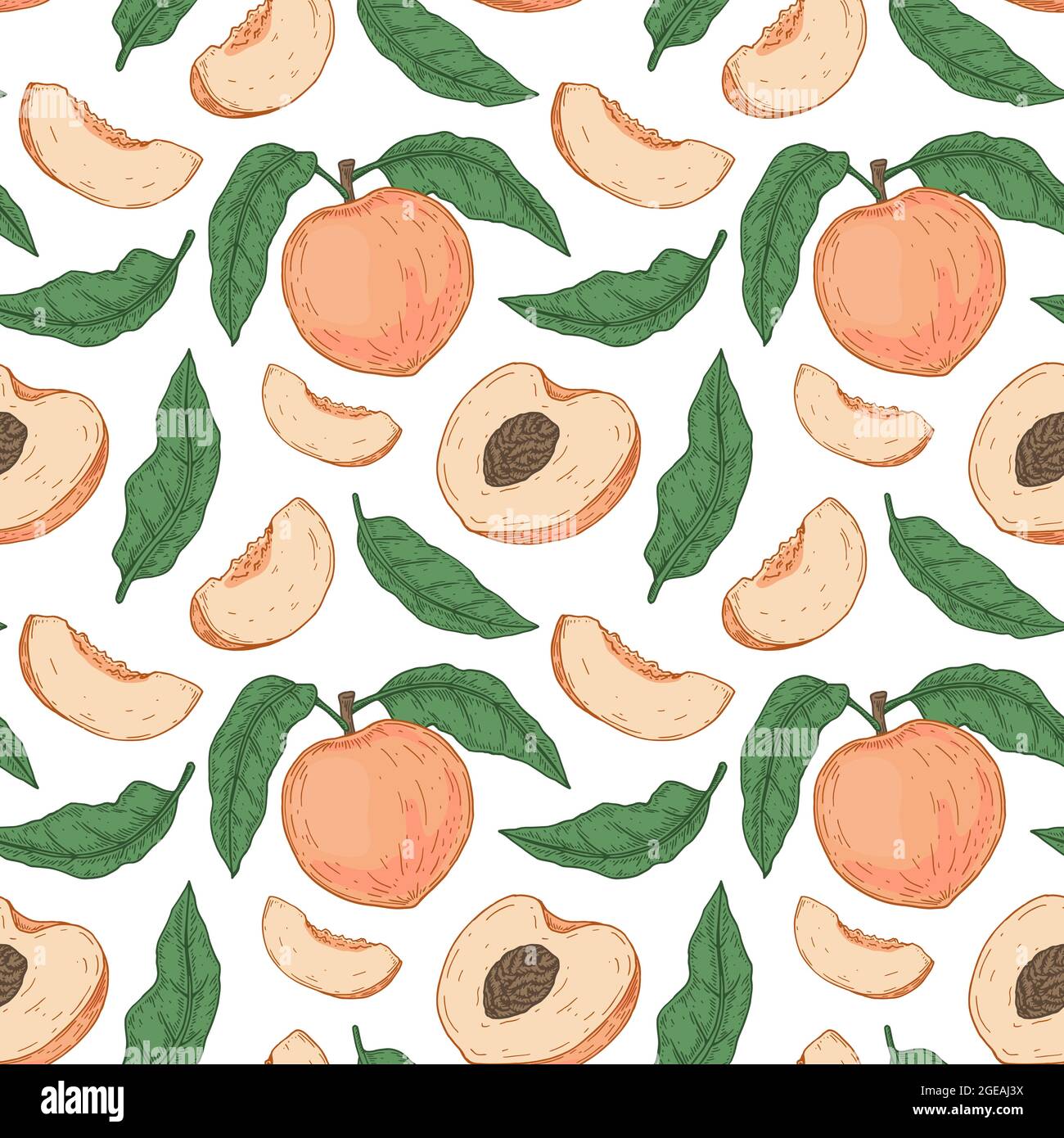 Hand drawn peach seamless pattern. Vector illustration Stock Vector ...