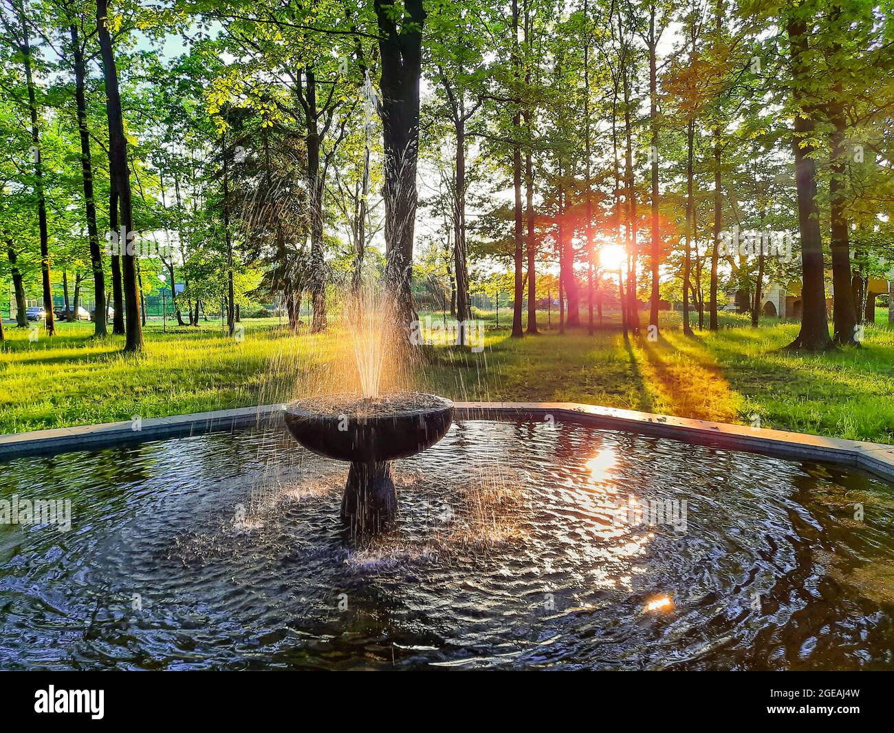 Park fountain illuminated with red light of the setting sun Stock Photo ...