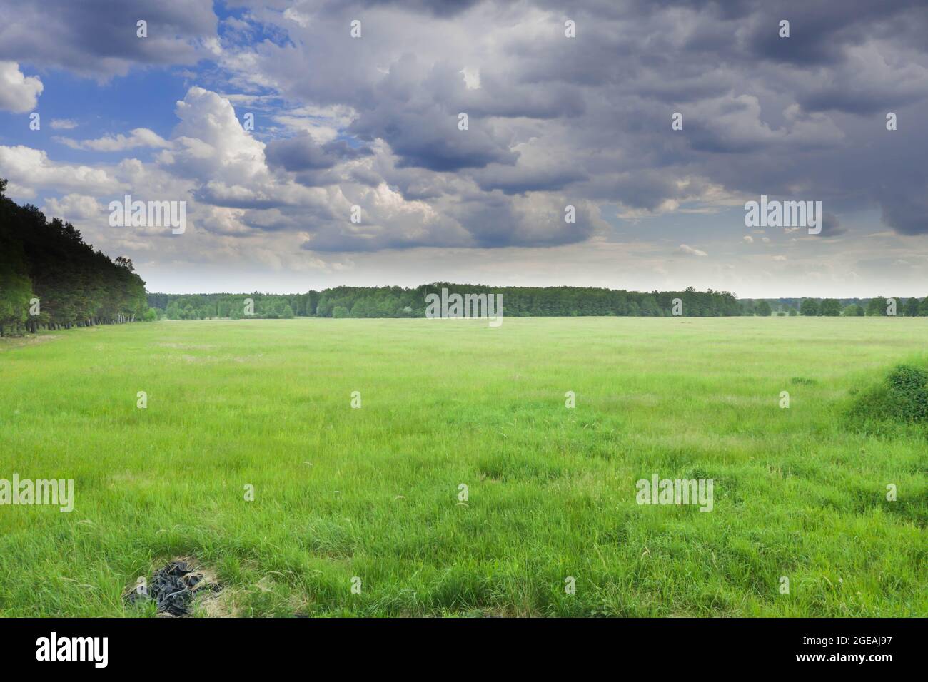 Grassy plain hi-res stock photography and images - Alamy