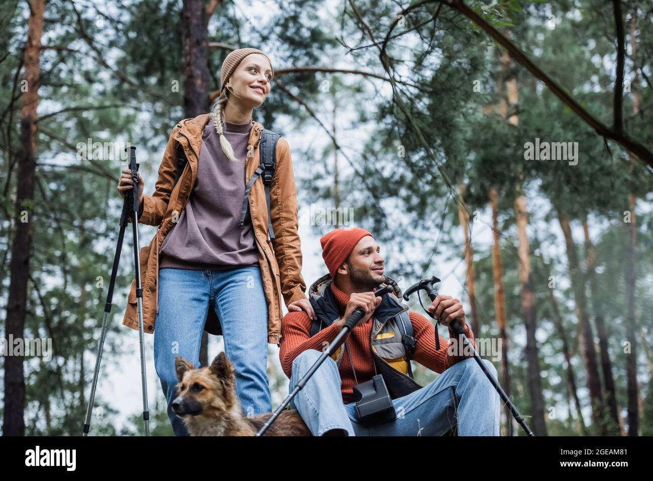 smiling couple looking away while holding hiking sticks near dog in ...