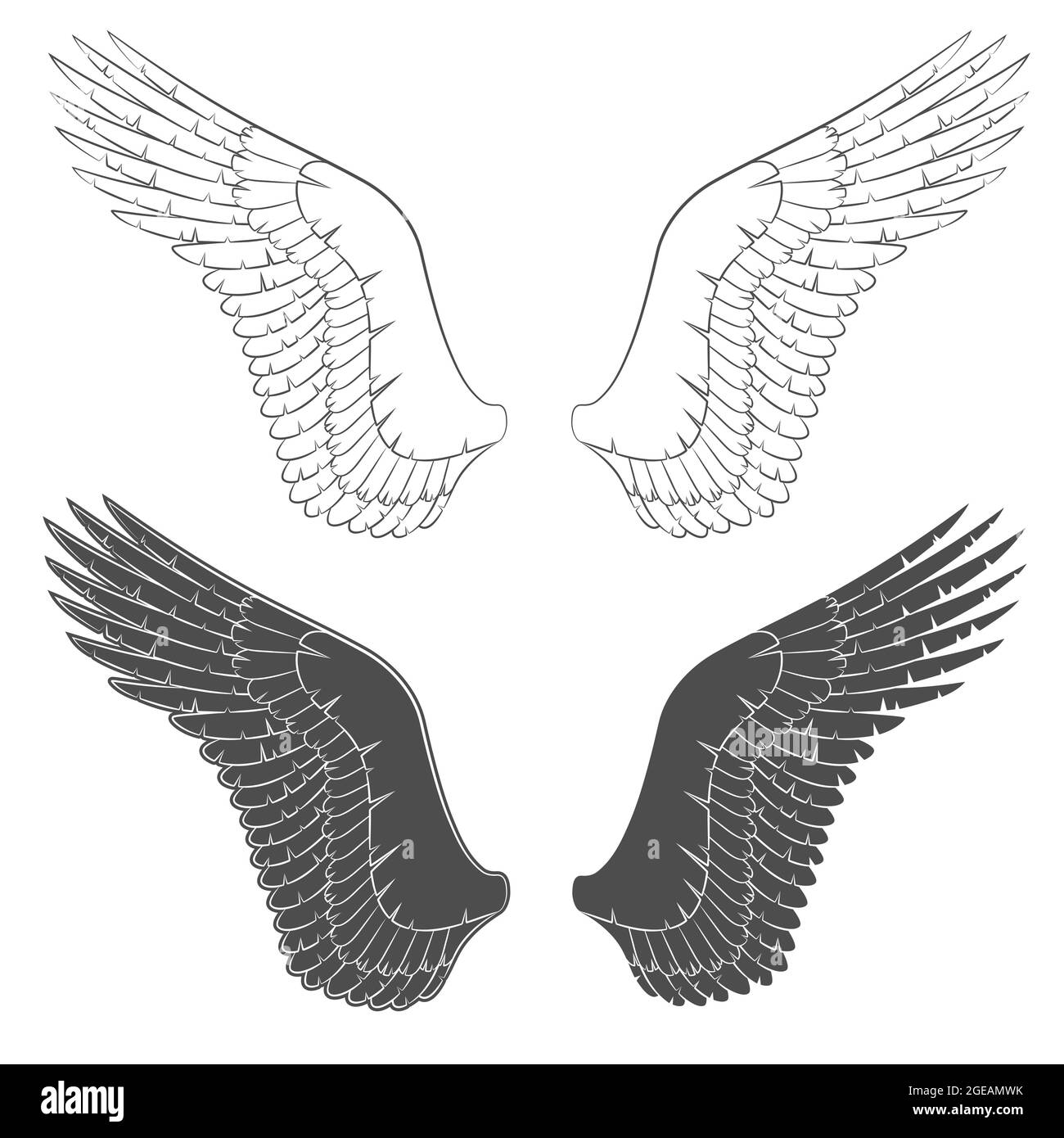 Set of black and white illustrations with wings. Isolated vector ...