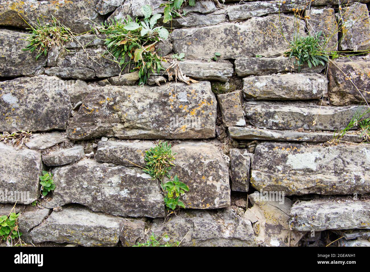 The rough textured surface of the wild stone wall. Background Stock ...