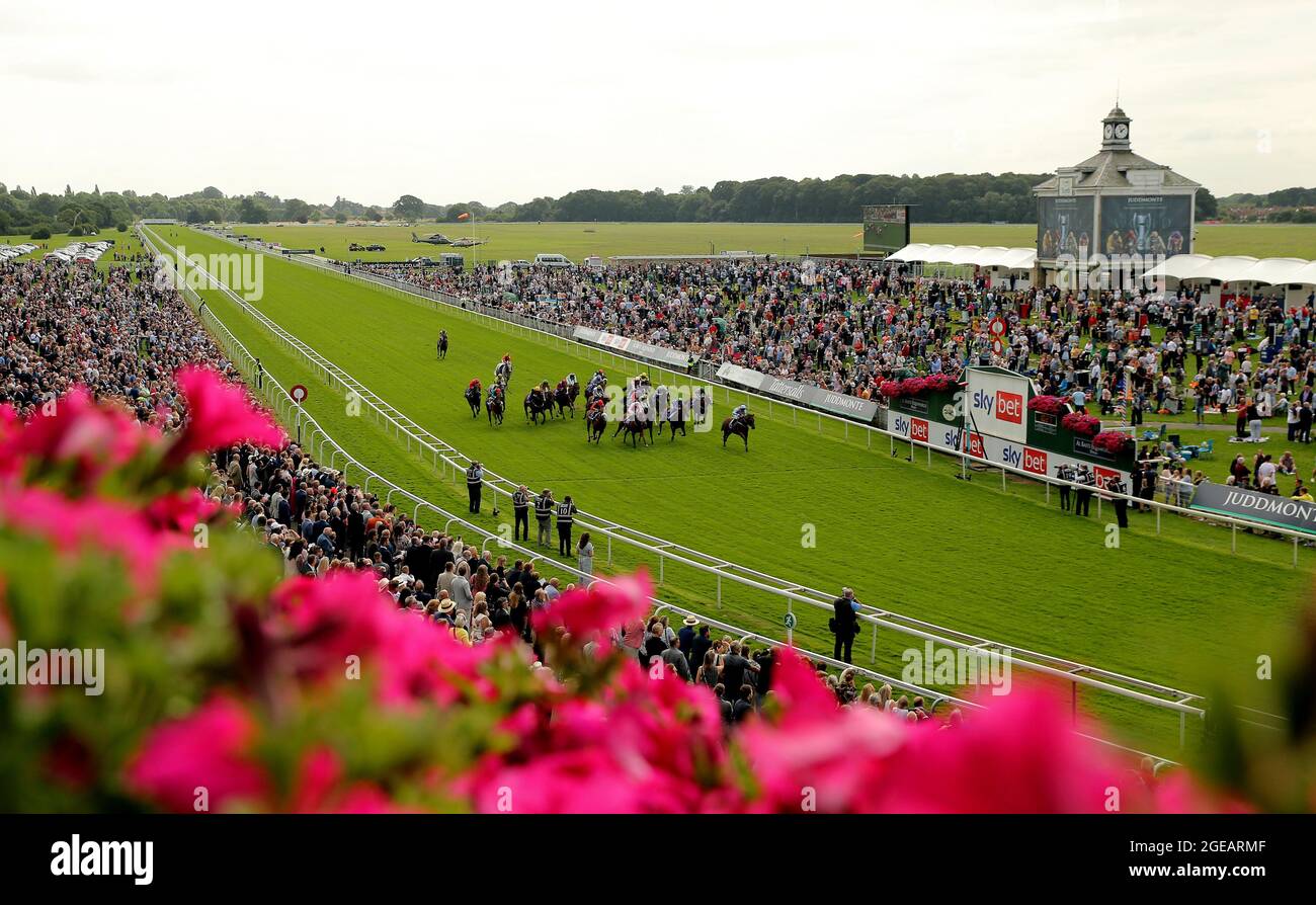 COPPER KNIGHT WINS THE FIRST RACE OF THE EBOR FESTIVAL, THE SKY BET and ...