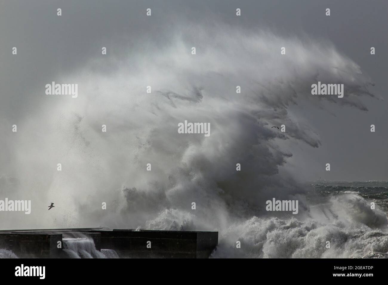 Big stormy wave splash. Douro river mouth new north pier, Porto ...