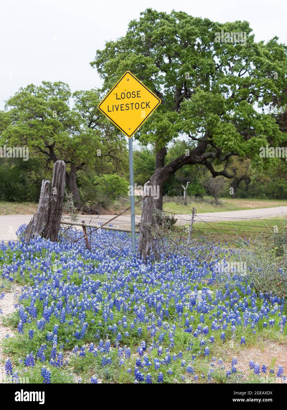 Loose livestock sign hi-res stock photography and images - Alamy