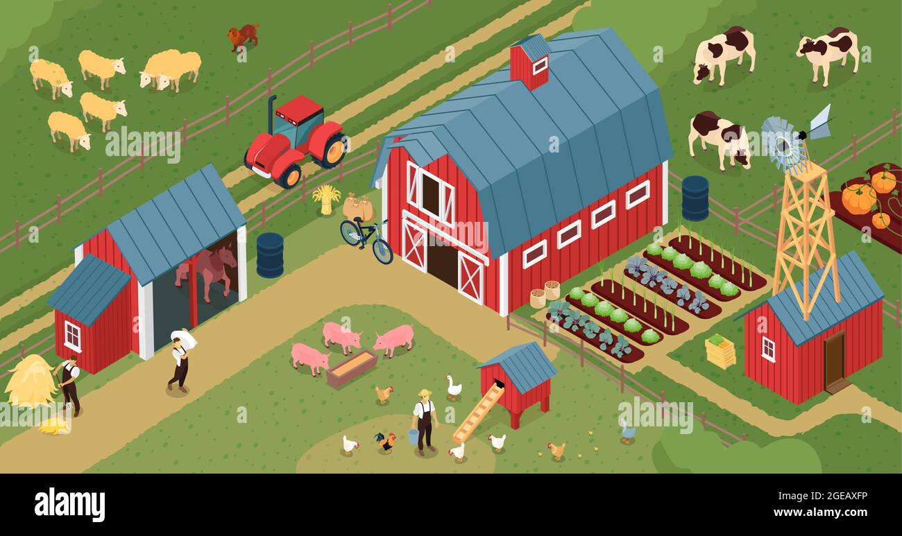 Farm barnyard isometric composition with chicken laying house pigs ...