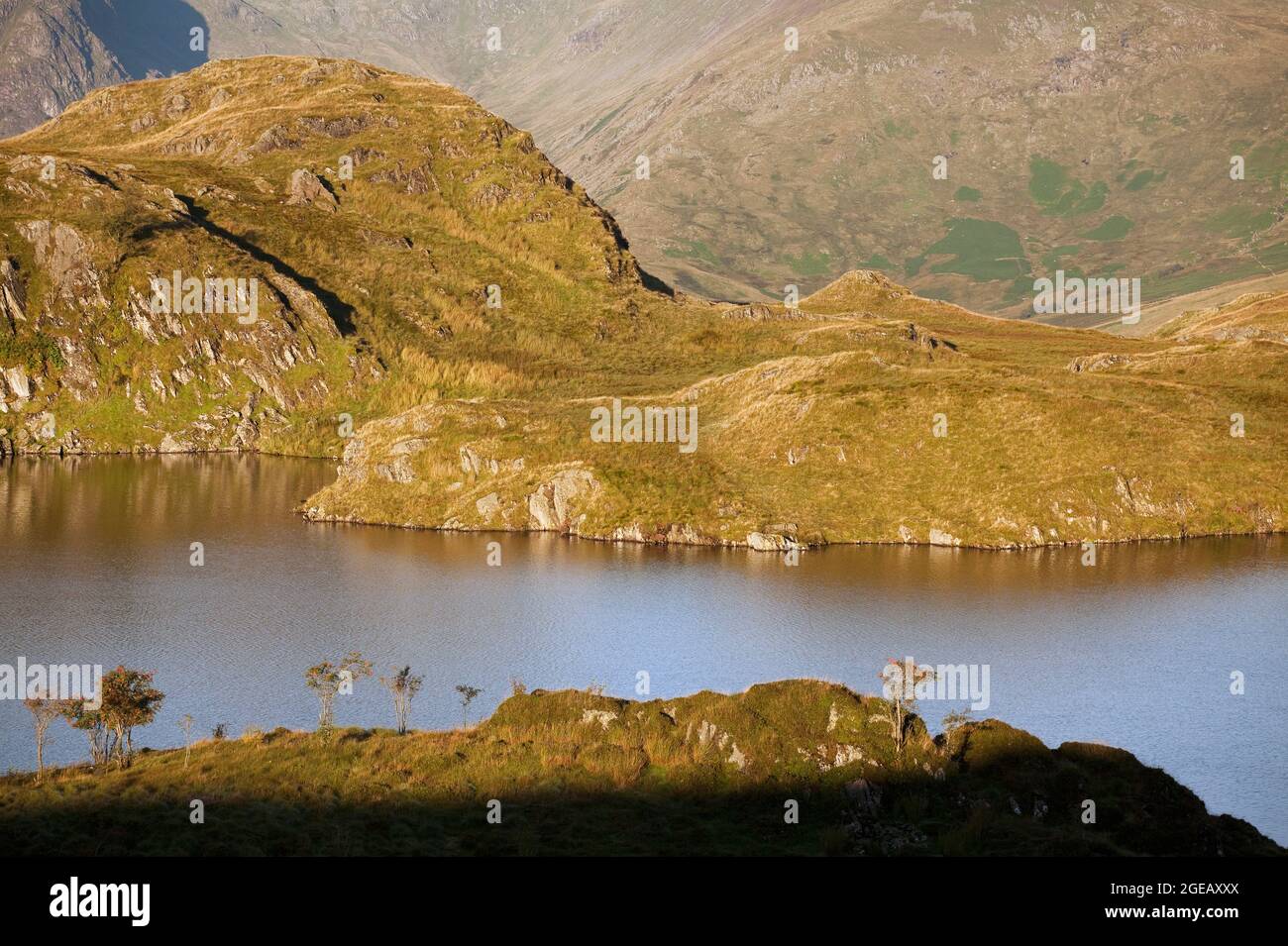 Angle Tarn below Angletarn Pikes at dawn, in the English Lake District ...