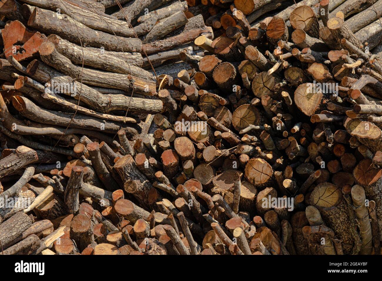 Logs of different sizes hi-res stock photography and images - Alamy