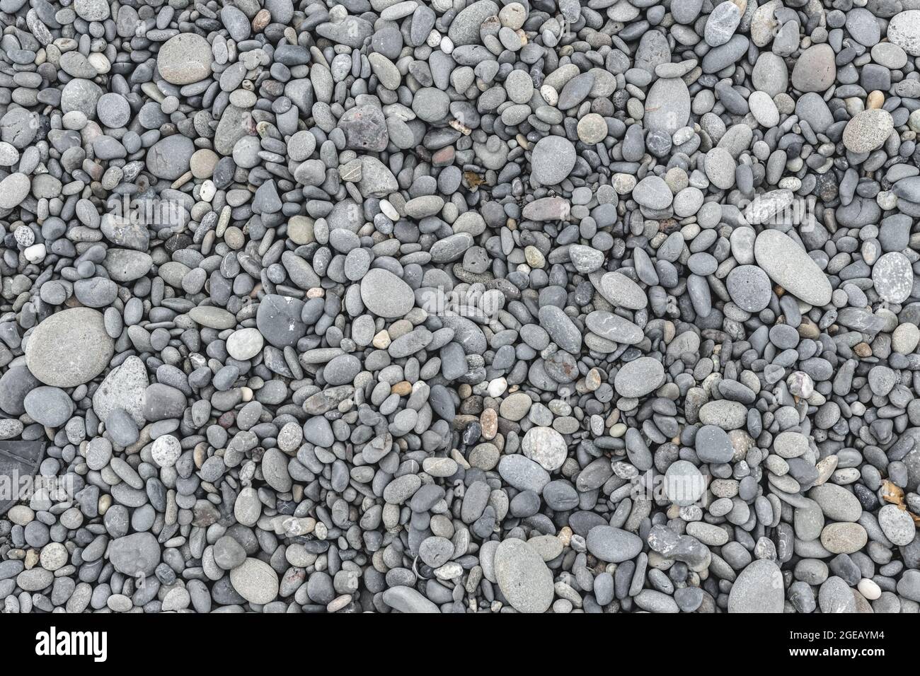 Rialto beach people hi-res stock photography and images - Alamy