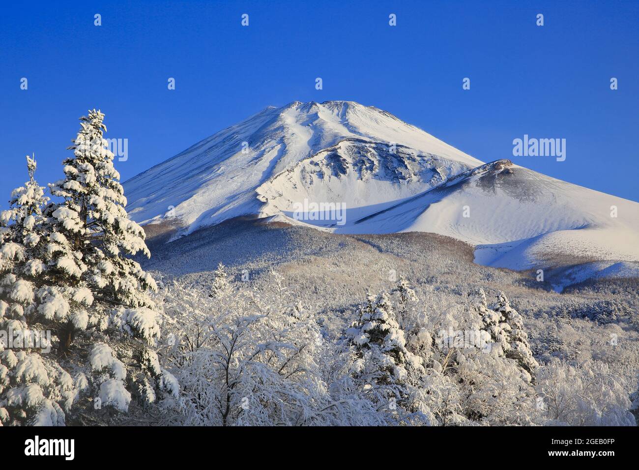 Beautiful view of Mount Fuji Stock Photo - Alamy