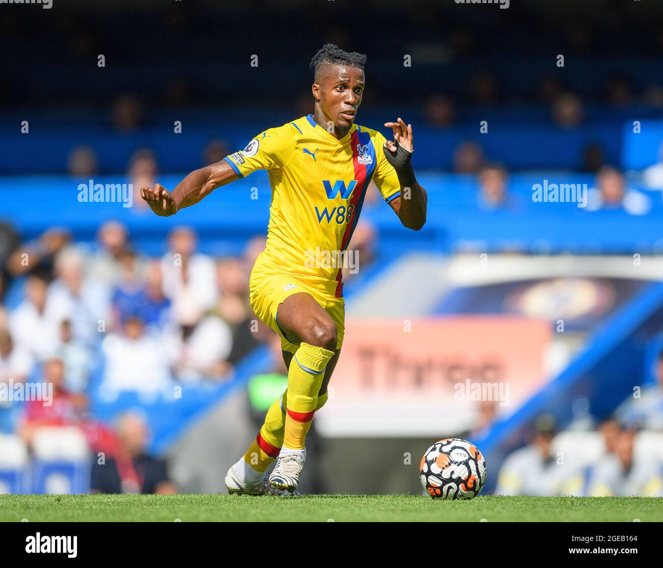 Wilfried Zaha Blonde