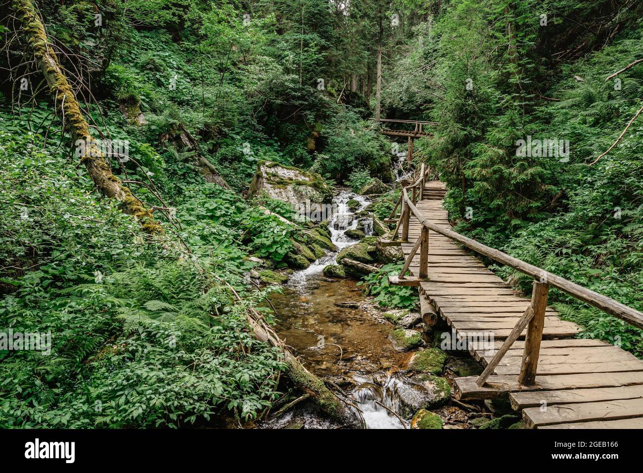 Hiking along Bila Opava River,Jeseniky Mountains,Czech Republic.Tourist ...