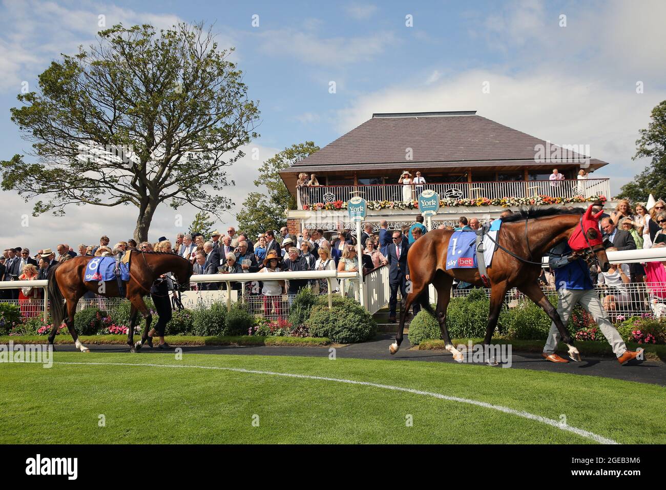 Parade ring racecourse hi-res stock photography and images - Alamy