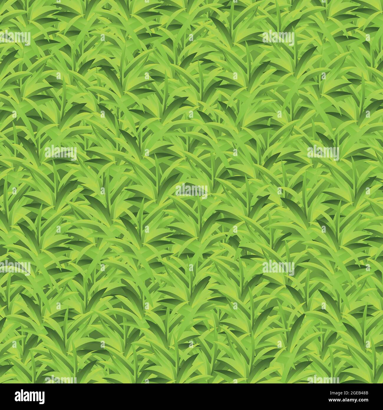Realistic yellow-green grass, lawn background - Vector illustration ...