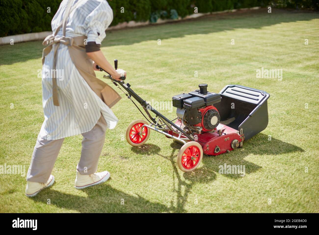 Woman pushing lawn mower hi-res stock photography and images - Alamy
