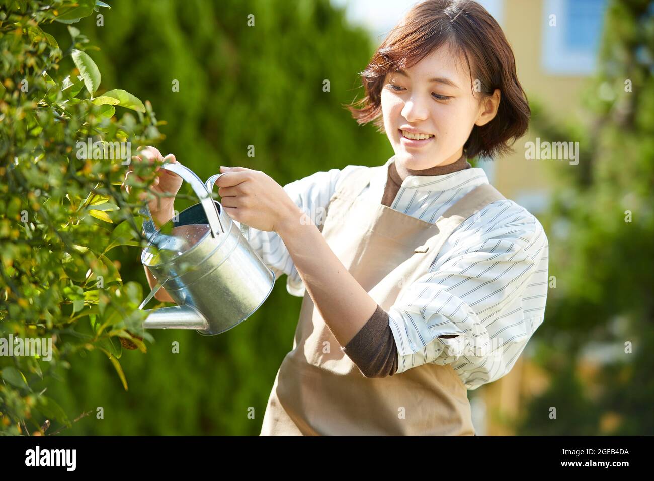 Japanese working life hi-res stock photography and images - Alamy