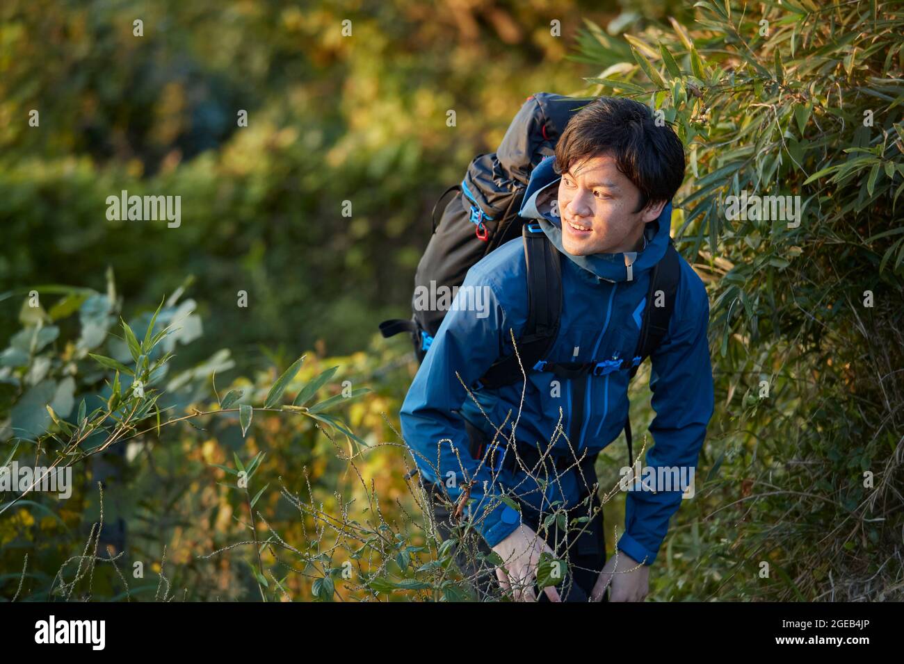 Japanese man hiking Stock Photo - Alamy