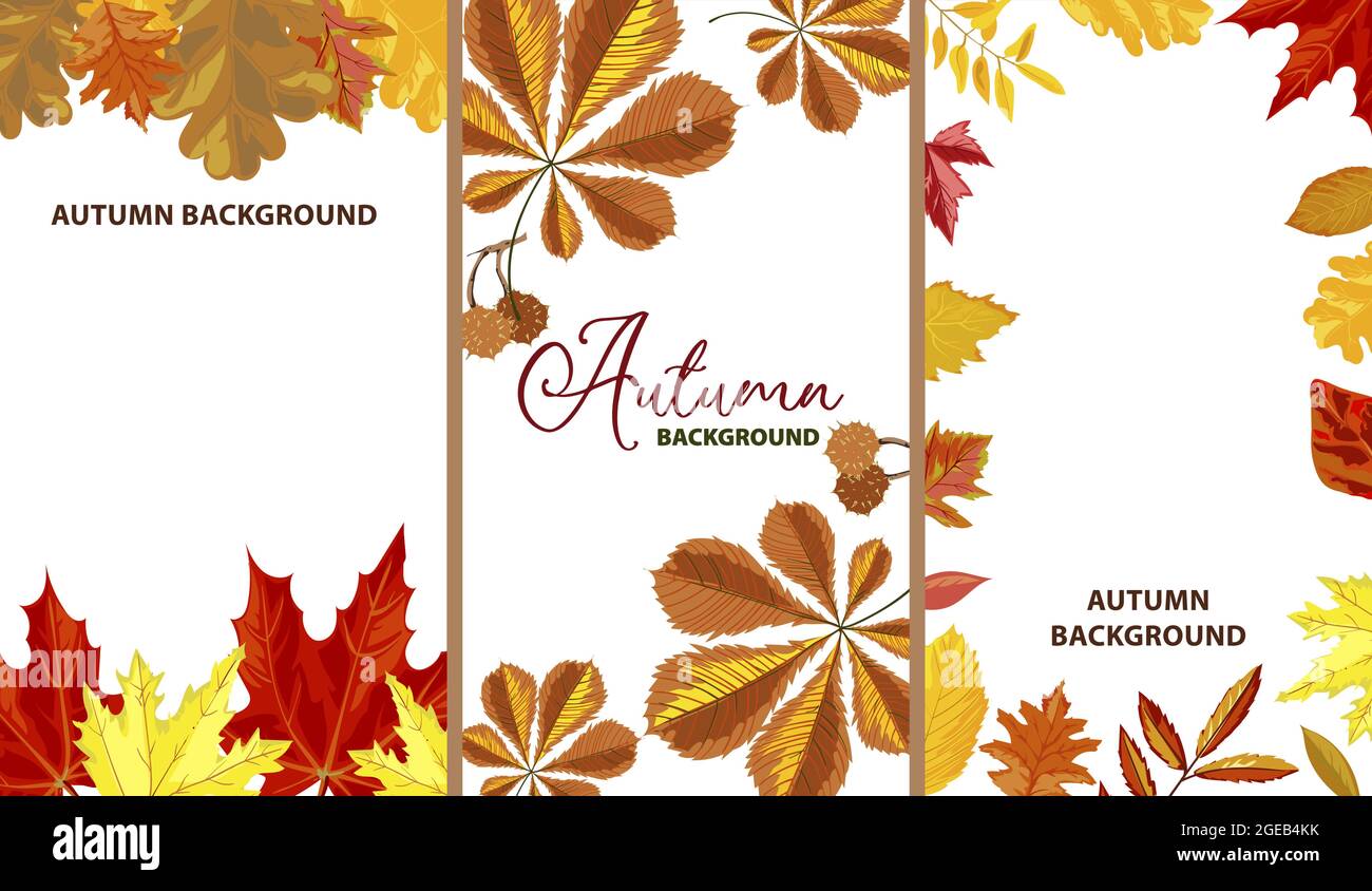 Autumn background and empty banners with leaves Stock Vector Image ...
