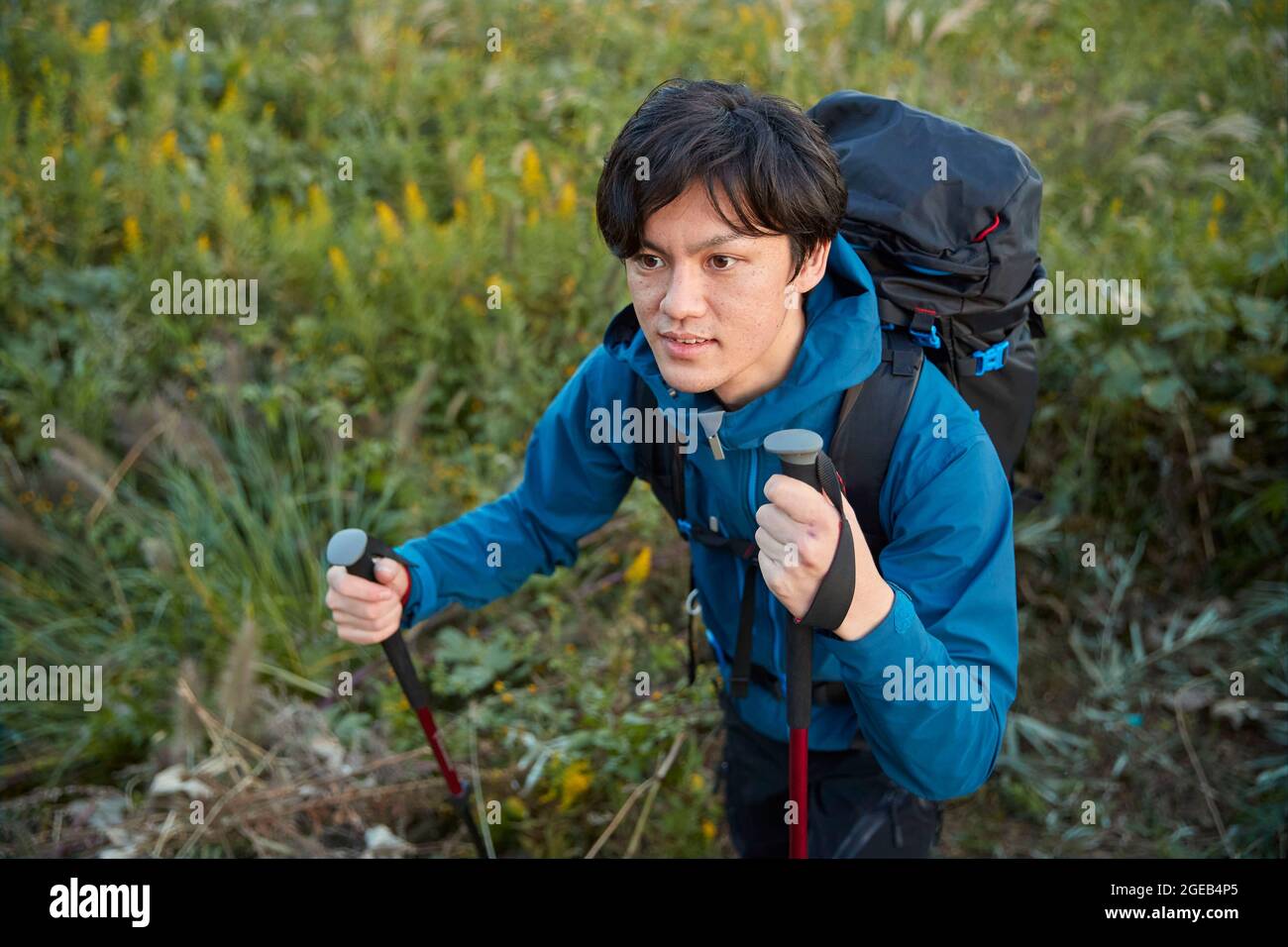 Japanese man hiking Stock Photo - Alamy