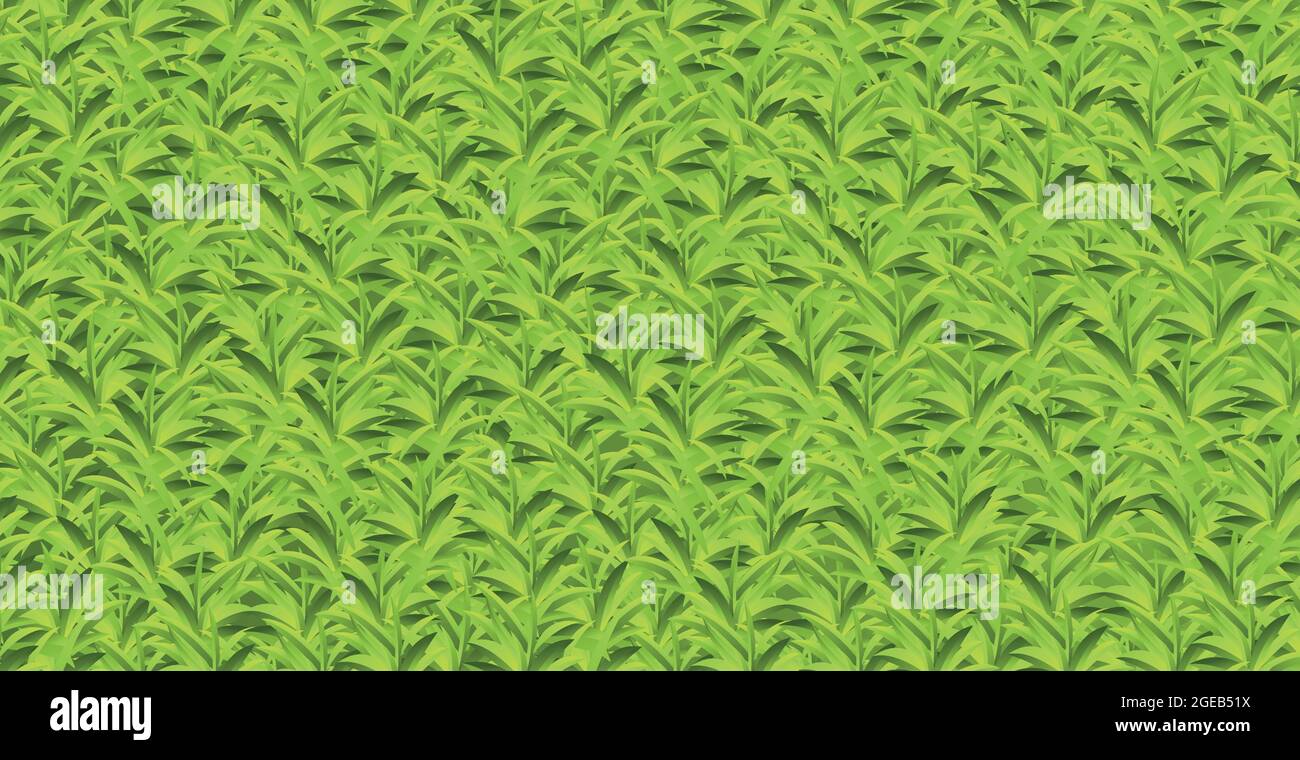 Realistic yellow-green grass, lawn background - Vector illustration ...