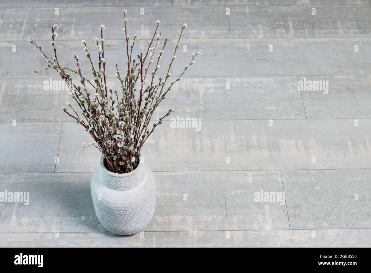 Catkins vase hi-res stock photography and images - Alamy