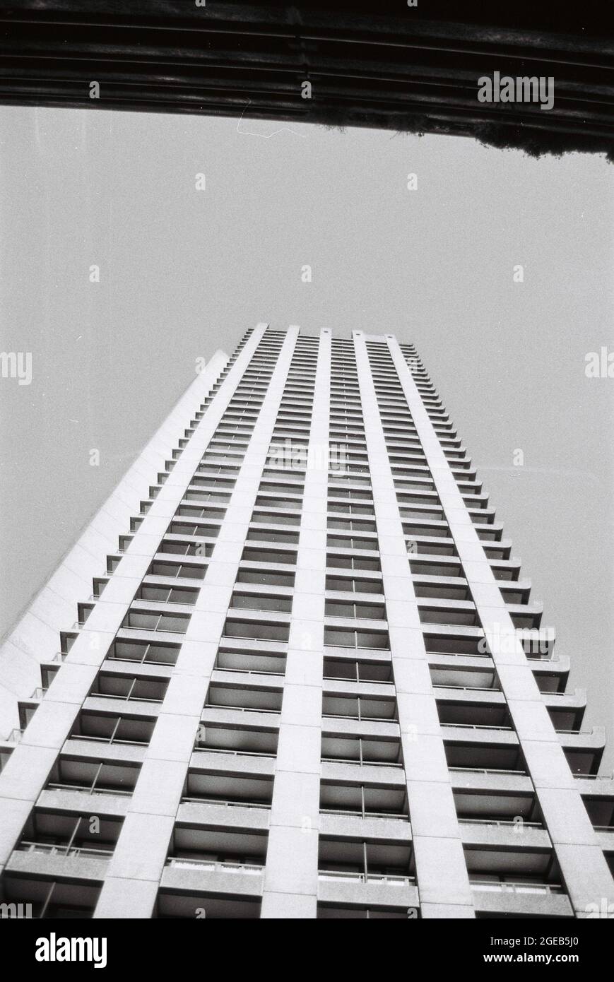 White chamberlain flower hi-res stock photography and images - Alamy