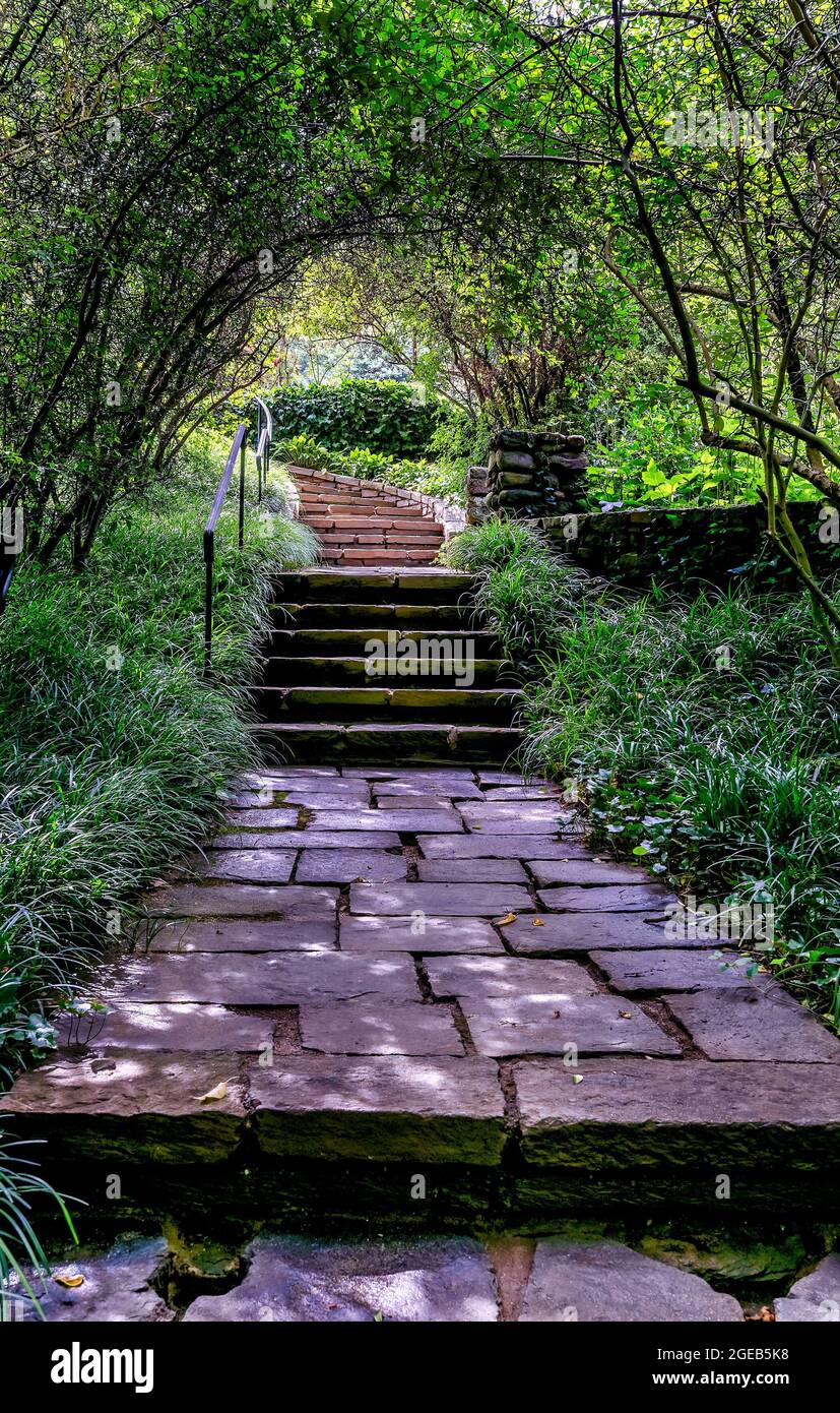 Pathway up from an urban garden Stock Photo - Alamy