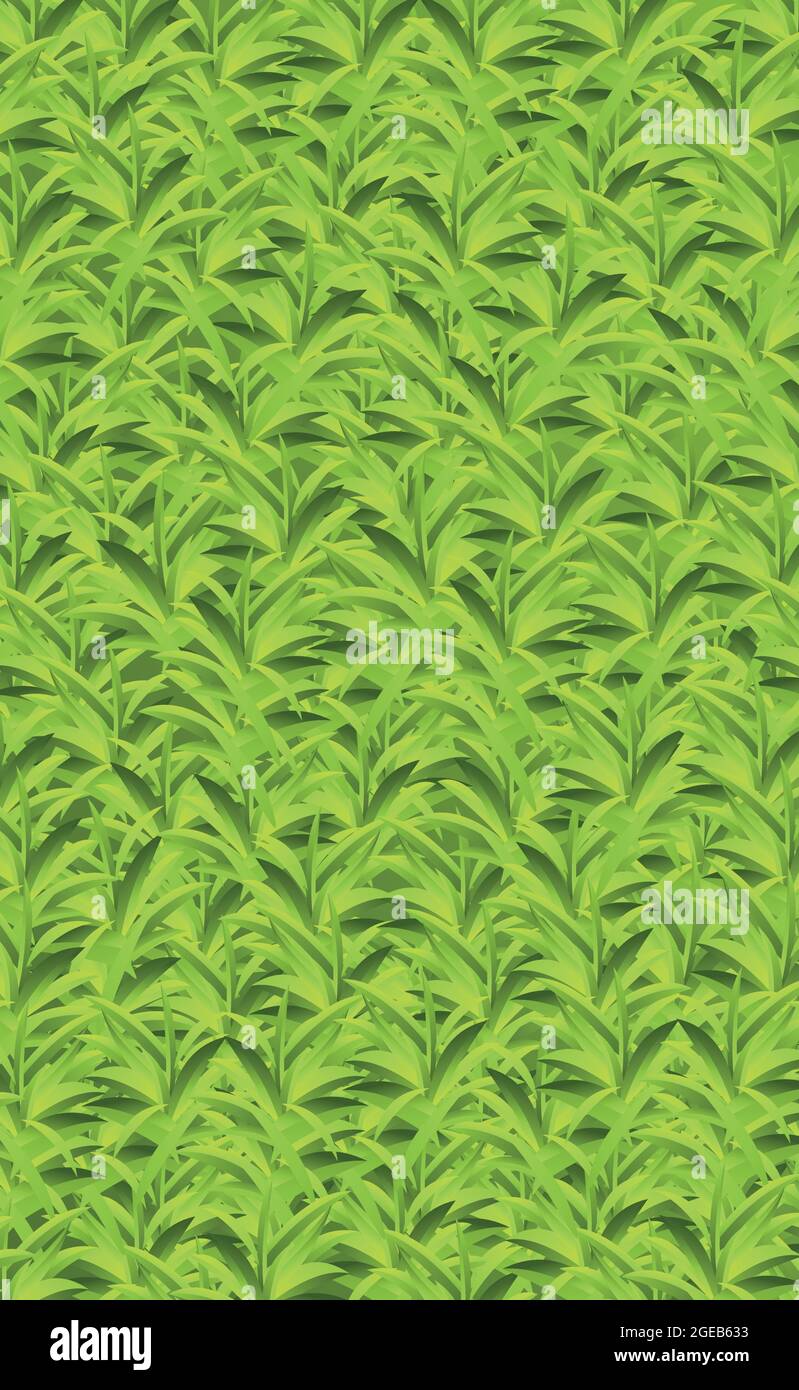 Realistic yellow-green grass, lawn background - Vector illustration ...