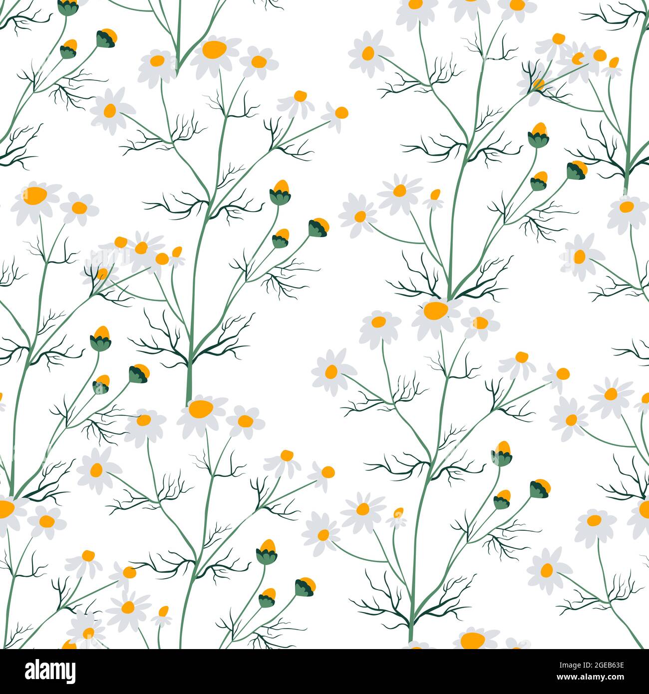 Chamomile flower with blossom seamless pattern Stock Vector Image & Art ...